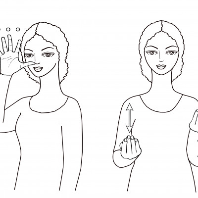 Georgian Sign Language Dictionary